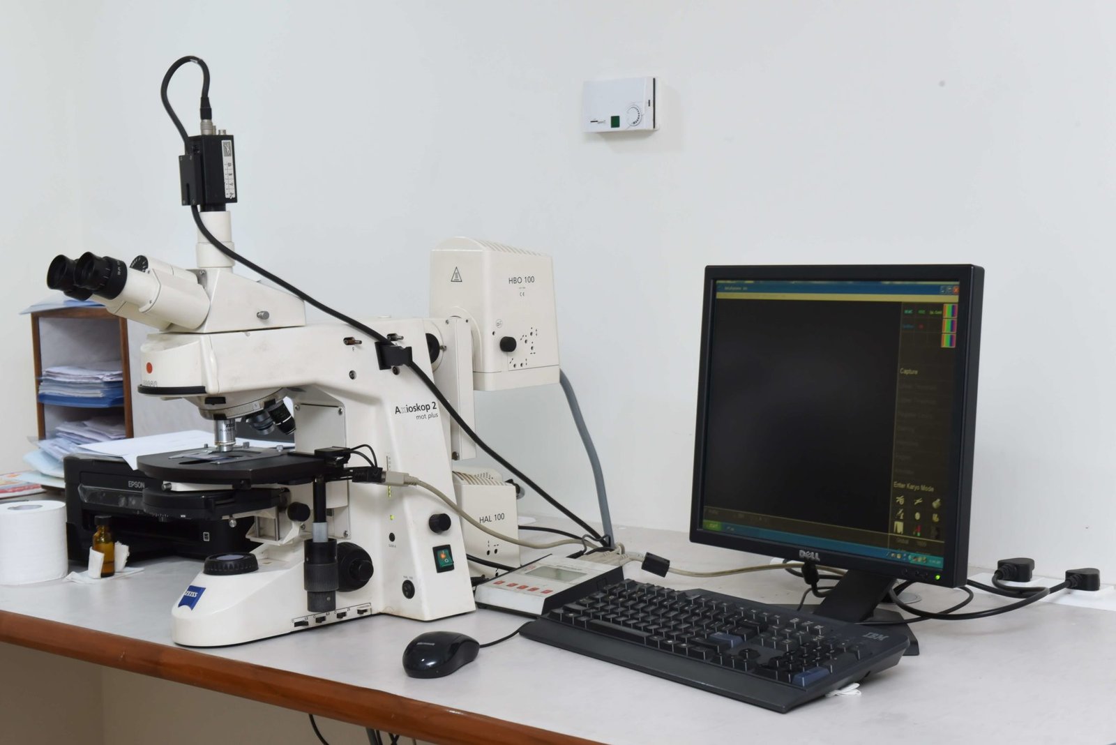 FISH testing techniques - Krishna IVF Clinic