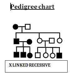 Pedigree Analysis Chart - Krishna IVF Clinic