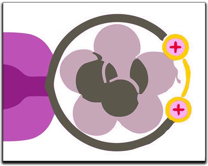 Advanced Services - Krishna IVF Clinic