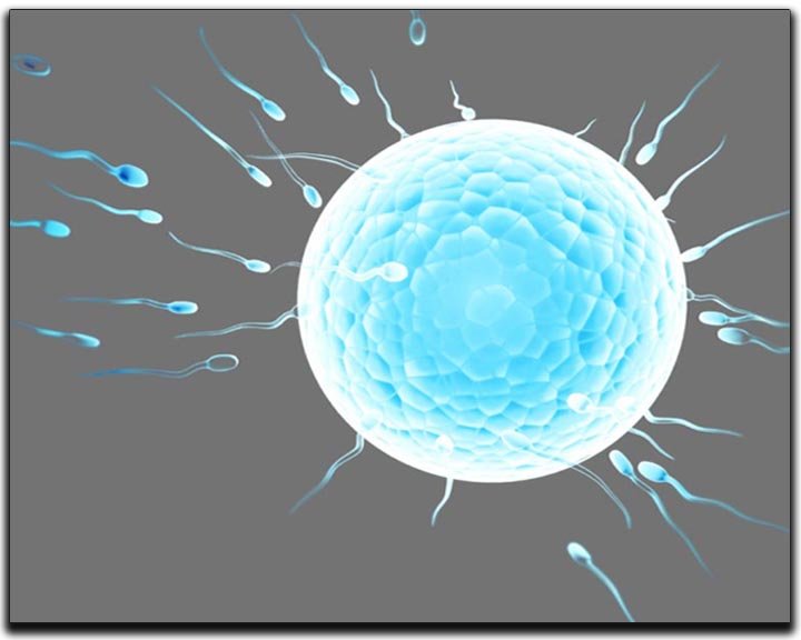 Basic Services in IVF Clinic - Krishna IVF Clinic