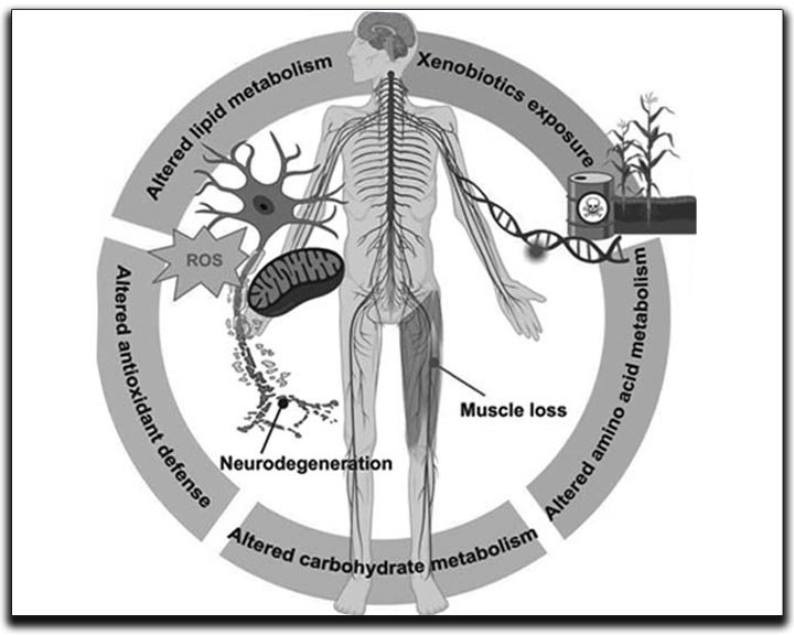 Advanced Services - Krishna IVF Clinic