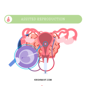 A Leading Cause of Infertility in Women - Krishna IVF Clinic